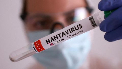 23 Kasus Hantavirus di RI Temukan Titik Terang, Ternyata Beda Jauh ...