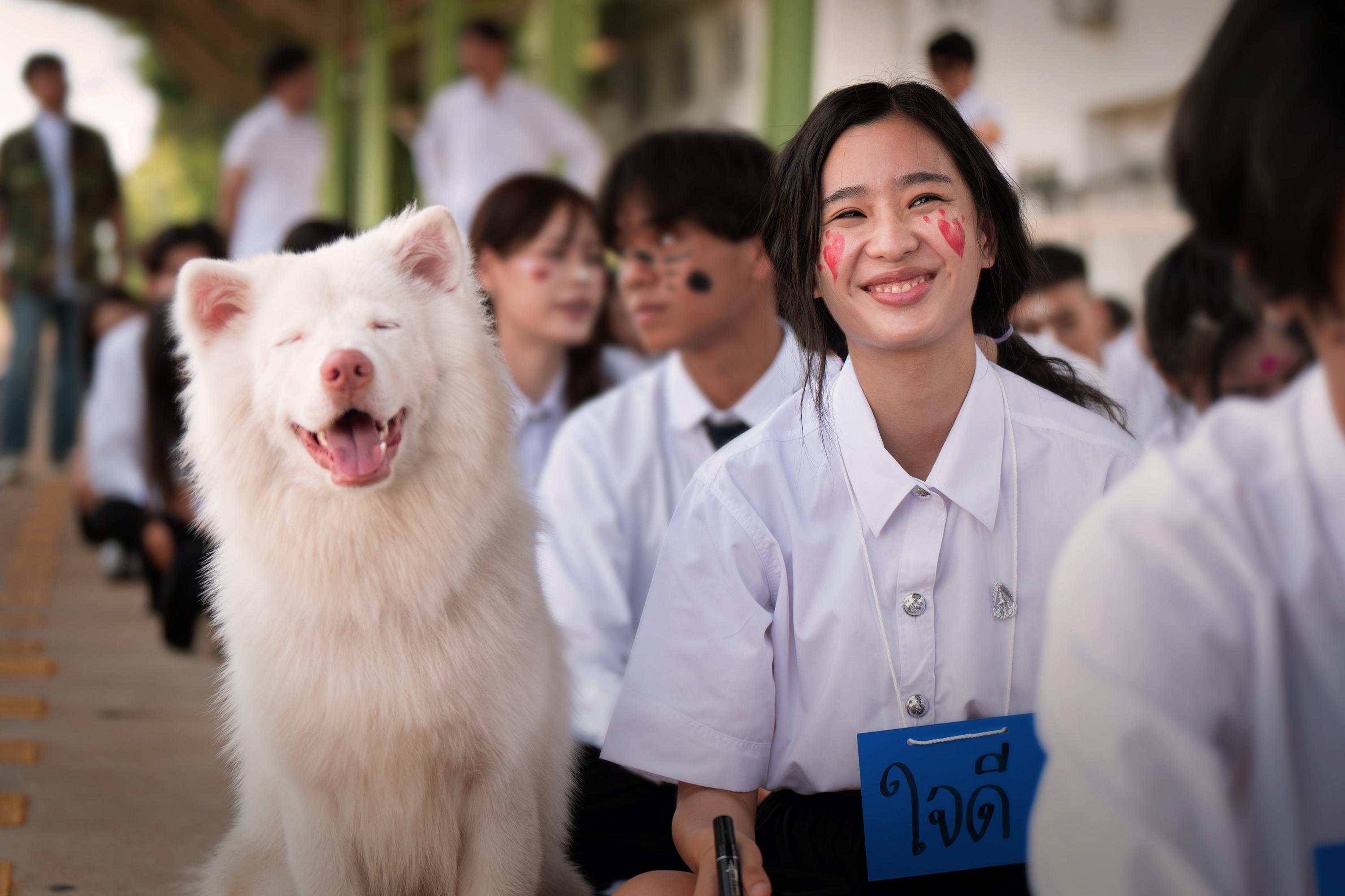 Sinopsis Film Thailand "Gohan", Kisah Anjing Liar yang Setia Temani ...