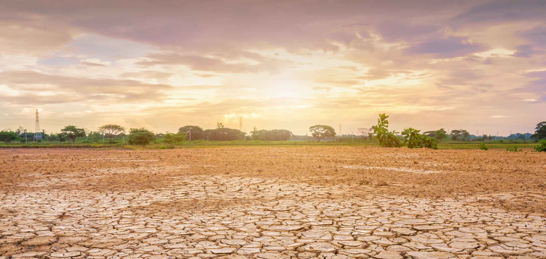 El Nino Tapi Masih Hujan? Ini Penjelasan Kenapa Cuaca Jadi ‘Aneh’